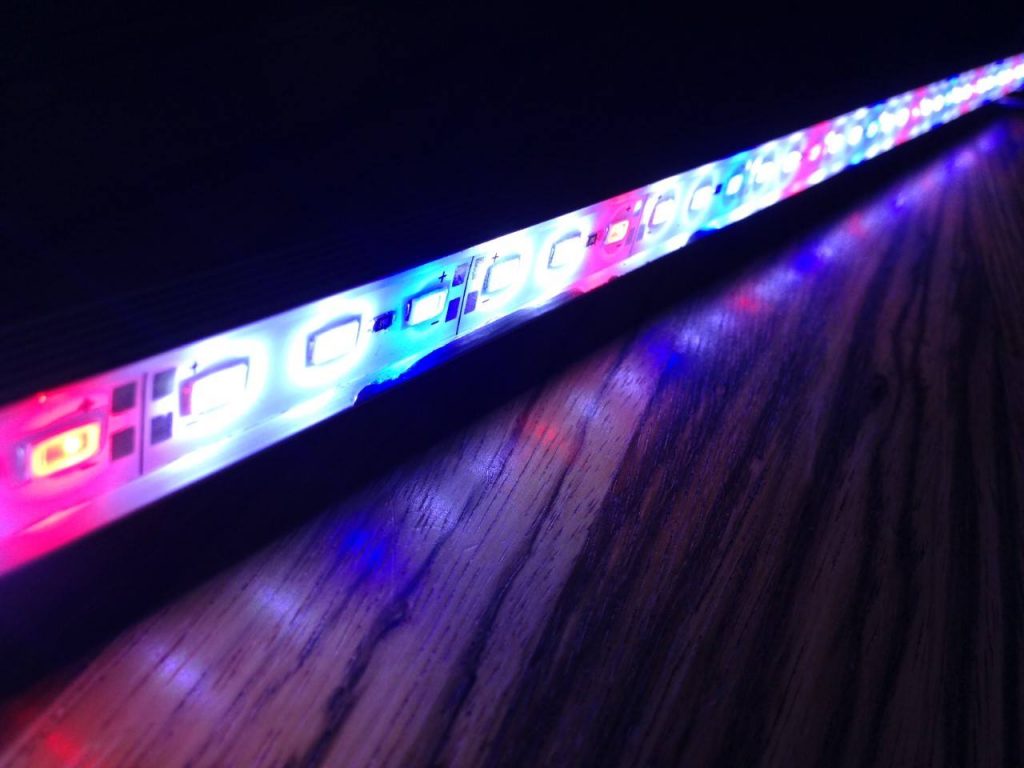 Aqualight LED * VANDTÆT – TrendyPets